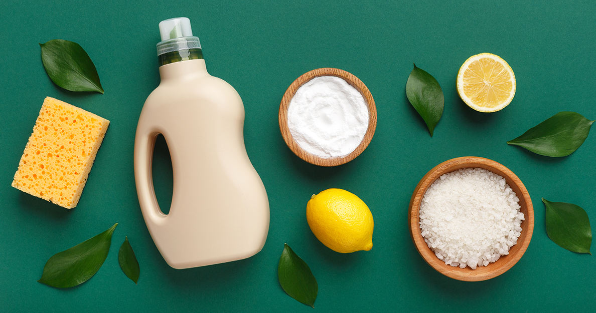 Maison propre au naturel - Saint Paul sur Save